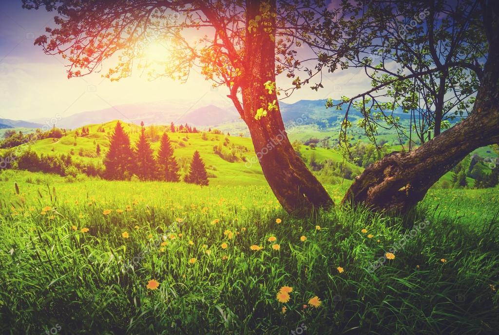 spring sunset colors