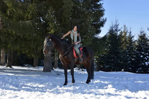 Young woman riding horse outdoor in winter - Stock Image - Everypixel
