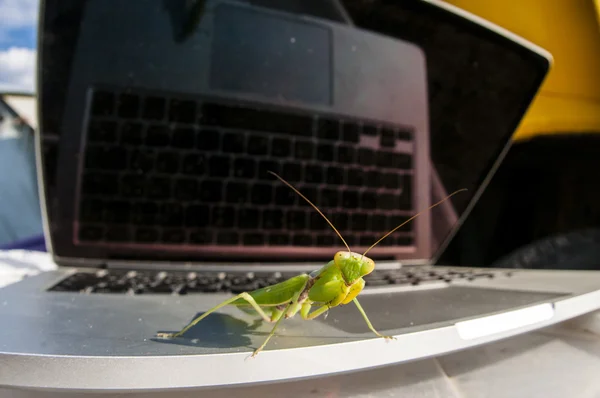 Computer Bug Images - Search Images on Everypixel