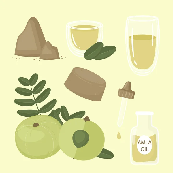 Amla fruit, Royalty-free Amla fruit Vector Images & Drawings ...