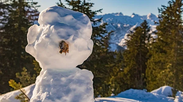 Funny landscape Images - Search Images on Everypixel