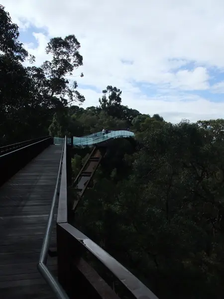 Acacia reserve Stock Photos, Royalty Free Acacia reserve Images ...