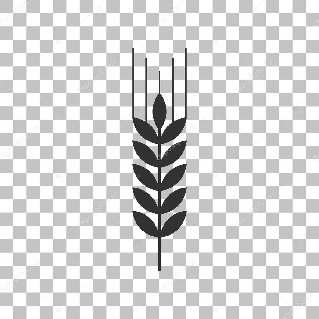 Signo de trigo ilustración. Icono gris oscuro sobre fondo transparente ...