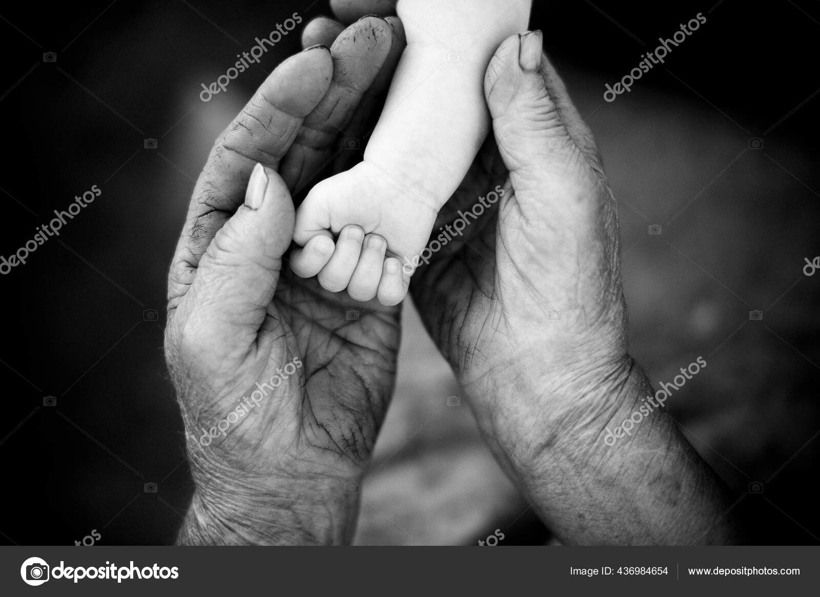 Youth and old age. Hands of grandmother and granddaughter Stock Photo ...