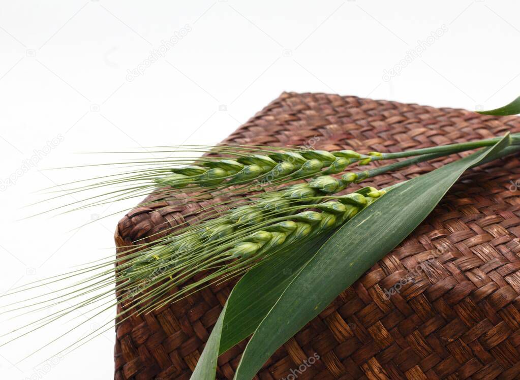 tres ramas de trigo verde de la agricultura ecológica en la parte ...