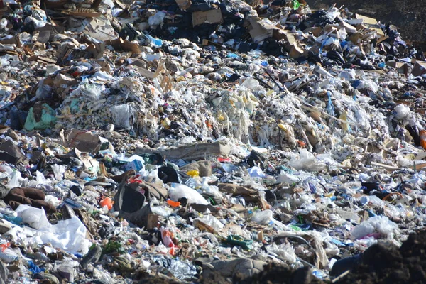 The landfill Stock Photos, Royalty Free The landfill Images | Depositphotos