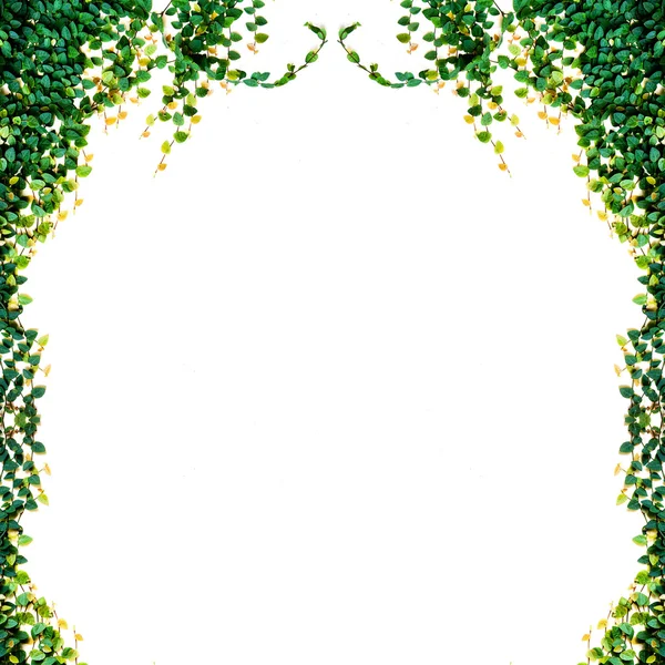 Regency frame Stock Photos, Royalty Free Regency frame Images ...