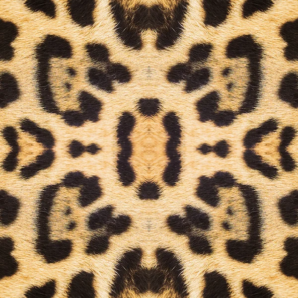Seamless texture of leopard skin background. A high resolution. Stock ...