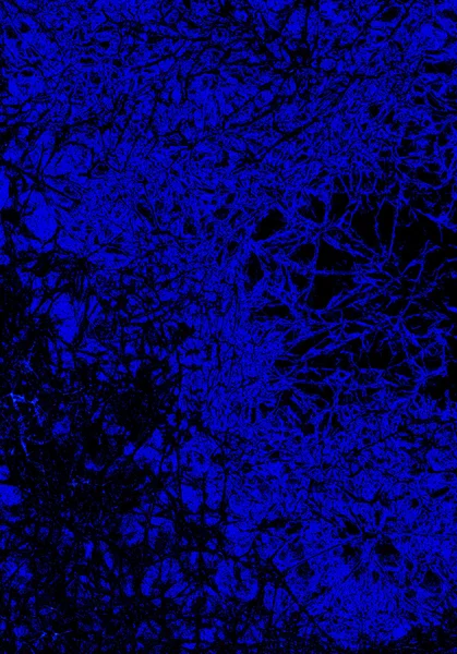 Neuron staining Stock Photos, Royalty Free Neuron staining Images ...