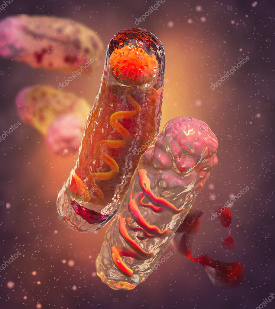 Antecedentes médicos, Bacterias de la peste con plásmidos y ribosomas ...