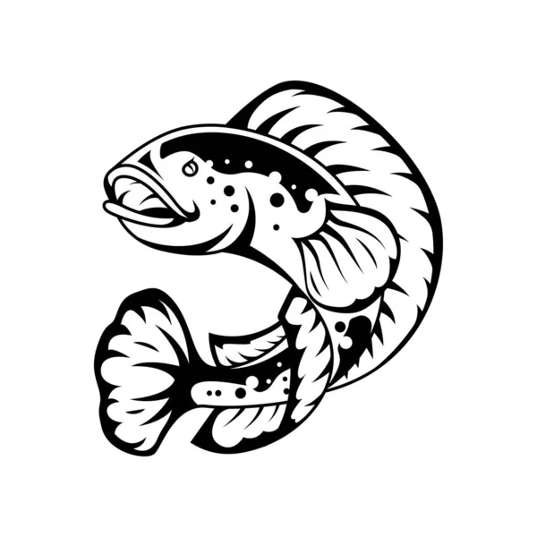 Giant snakehead fish, Royalty-free Giant snakehead fish Vector Images ...
