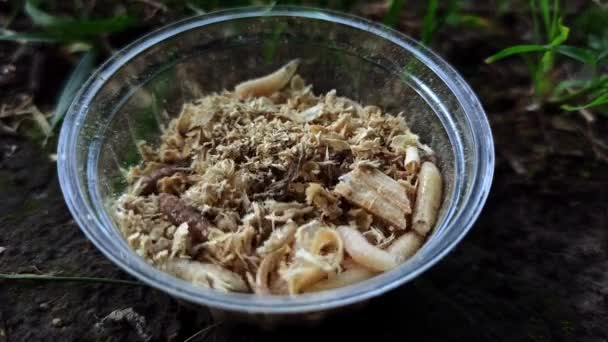 397 Worm hook Videos, Royalty-free Stock Worm hook Footage | Depositphotos