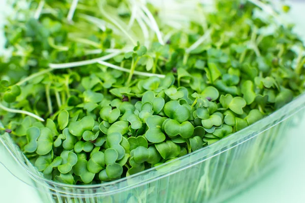 Broccoli microgreens Stock Photos, Royalty Free Broccoli microgreens ...