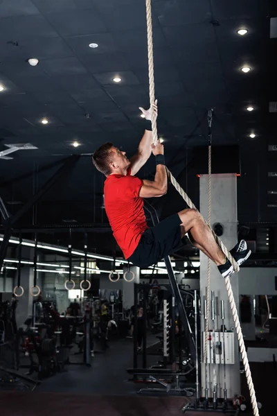 Fitness rope climb cxercise - Stock Image - Everypixel