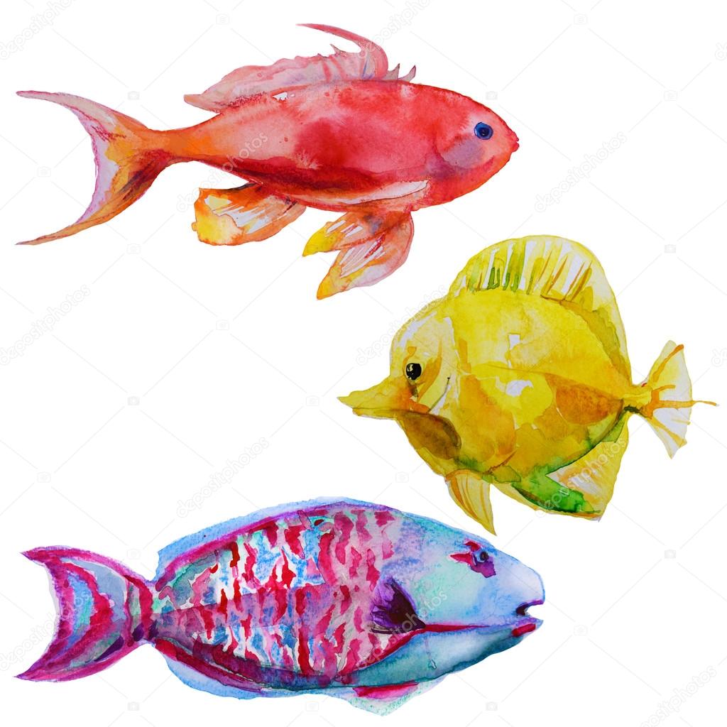 Set with watercolor tropical fish — Stock Photo © Cofeee #100326732