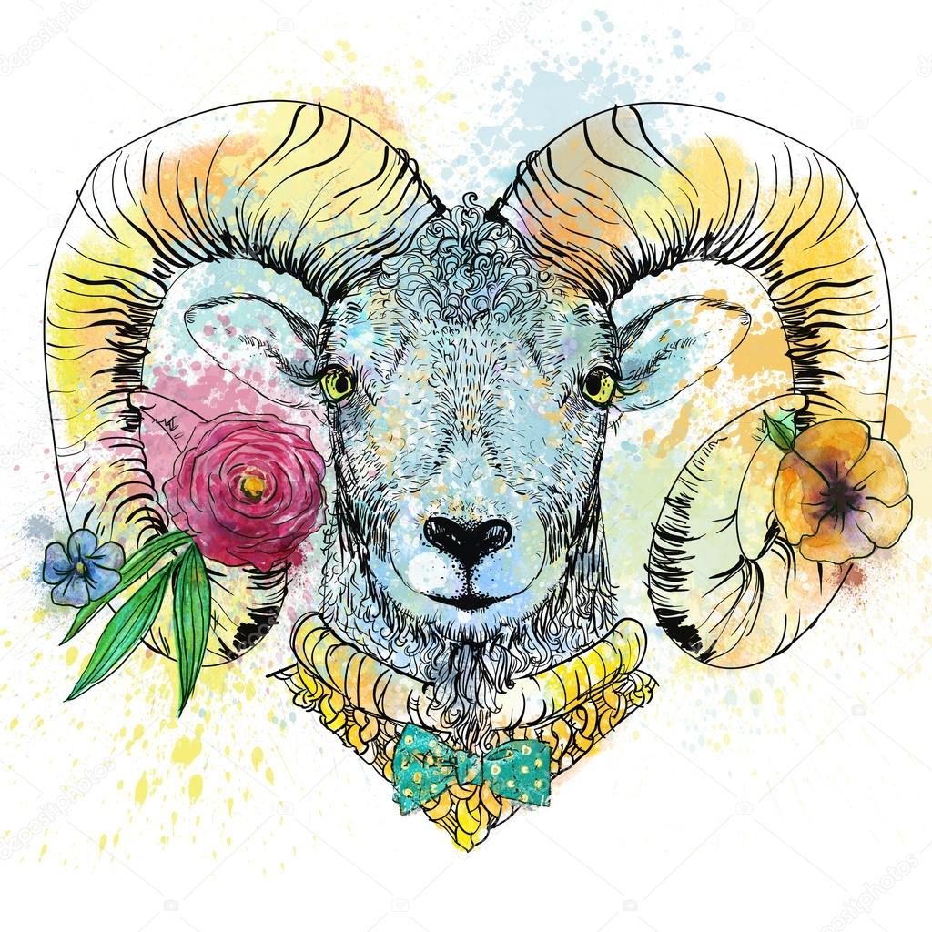 Ram character colorful portrait Stock Illustration by ©Cofeee #105103426