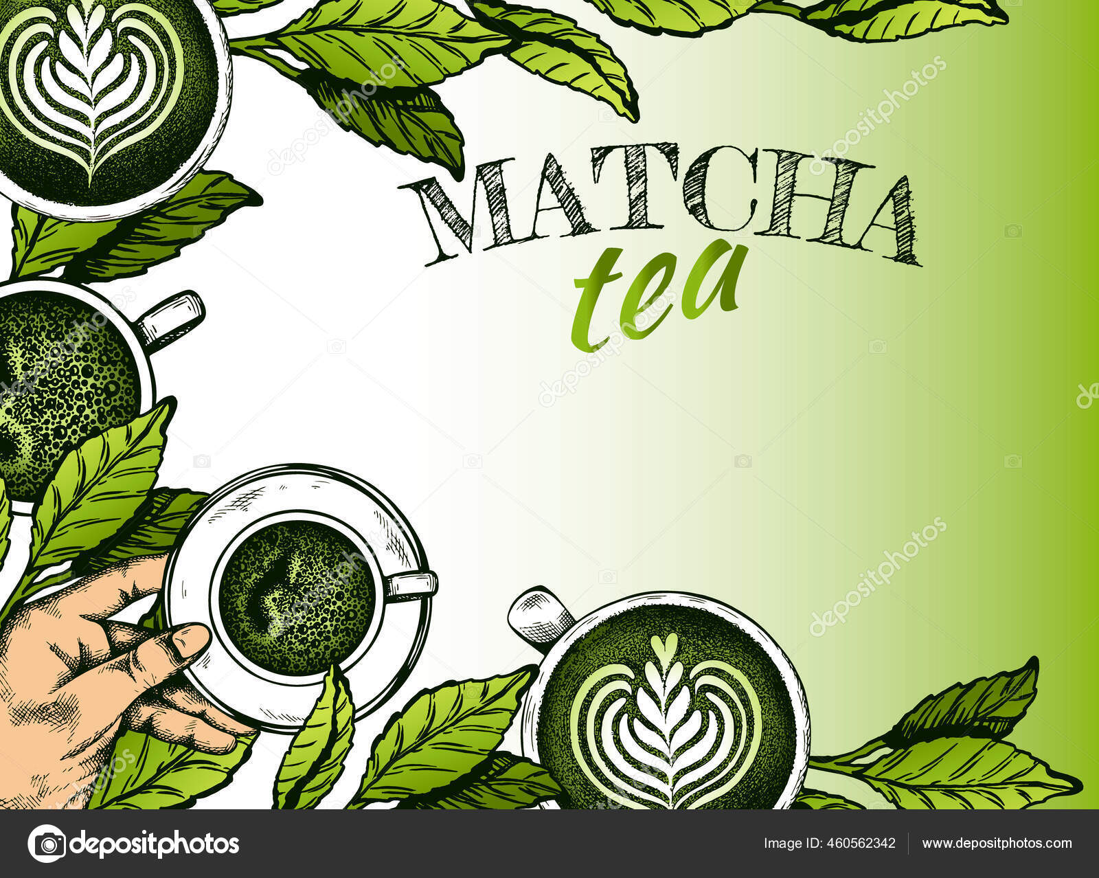 Sketch Drawing Template Japanese Matcha Tea Isolated White Background ...