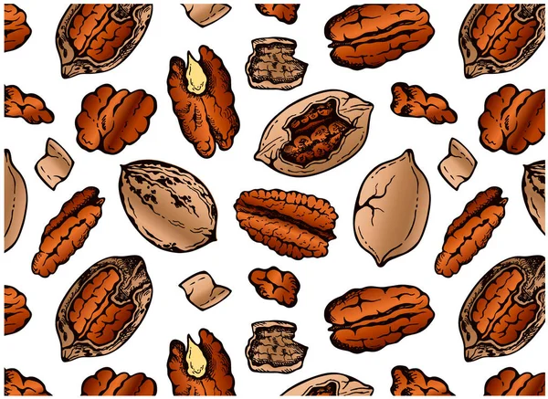Pecan Drawing