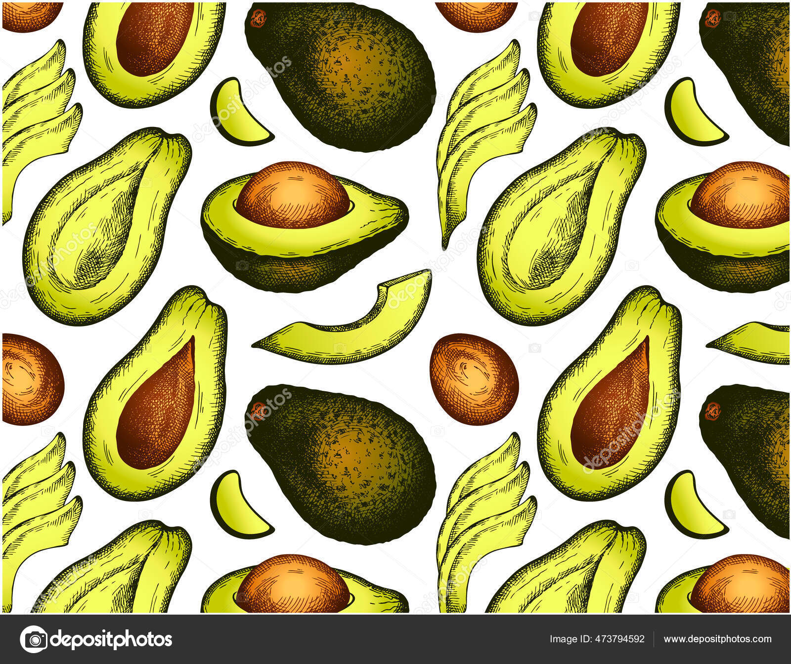 Drawing Pattern Sketch Green Avocado Isolated White Background Sliced ...