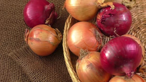 Dry onions ina brown basket on fabric background — Stock Video ...