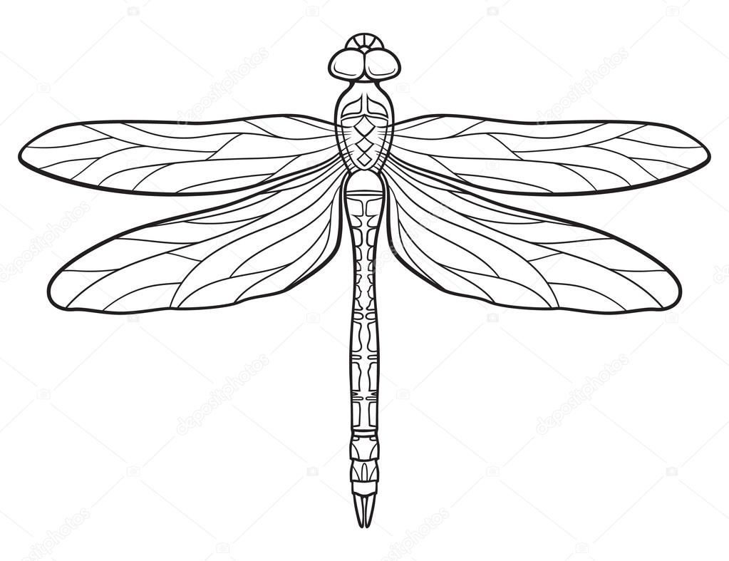 Dragonfly Stock Illustration by ©arhmarina #72558071 Dragonfly Stock Illustration by ©arhmarina #72558071