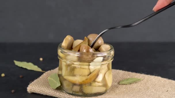 Hand picks up a delicious pickled edible mushroom Boletus Edulis with a ...