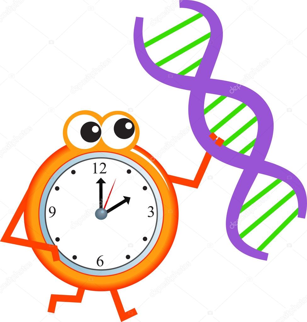 Dna time clock cartoon — Stock Vector © Prawny #64296703
