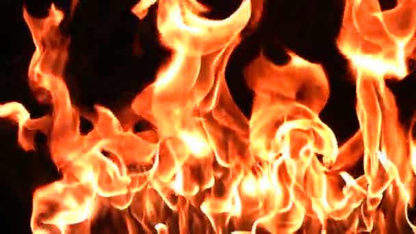 Fire graphic elements Stock Vector Image by ©wikki33 #2511934