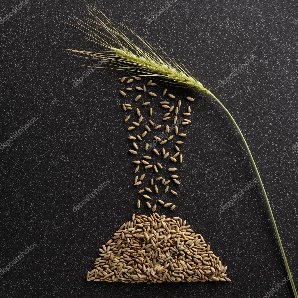 Grains of rye fall out ears — Stock Photo © RamiF #115728058