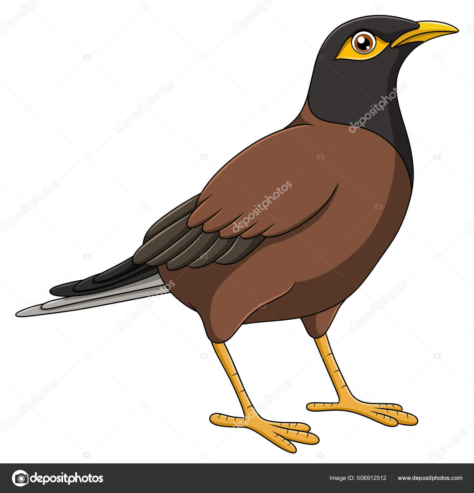 Cute Myna Bird Cartoon Vector Illustration Stock Vector by ...