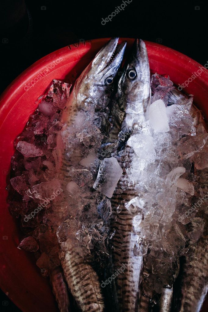 Raw fish sliced and cut at street market Stock Photo by ©shevtsovy 90373856