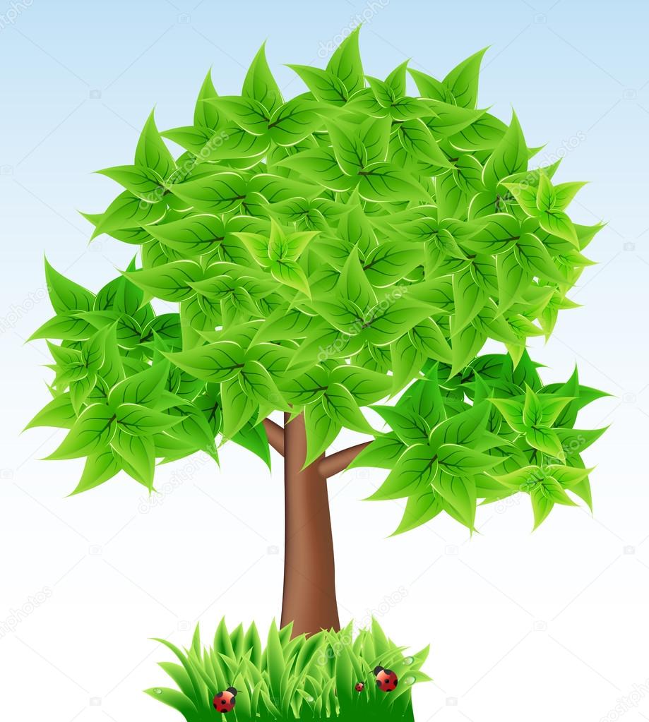 Realistic spring tree Stock Vector Image by ©gordanas #70092557
