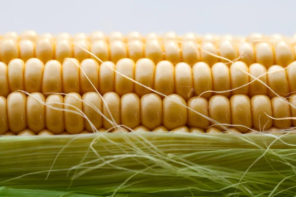 Golden sweet corn Stock Photo by ©orlio 99244466