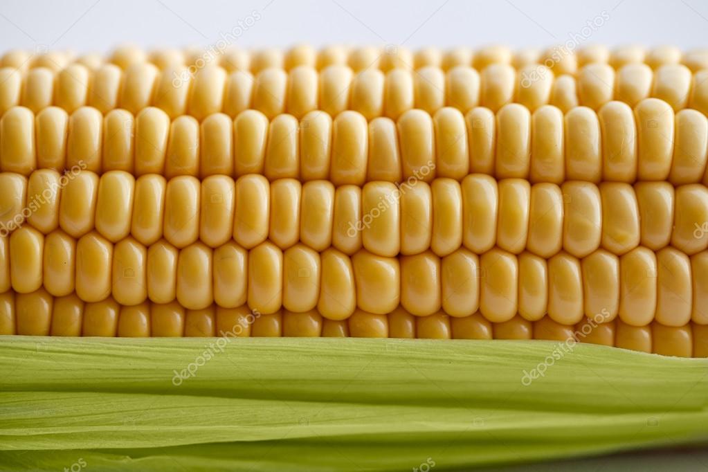 Golden sweet corn Stock Photo by ©orlio 99244466