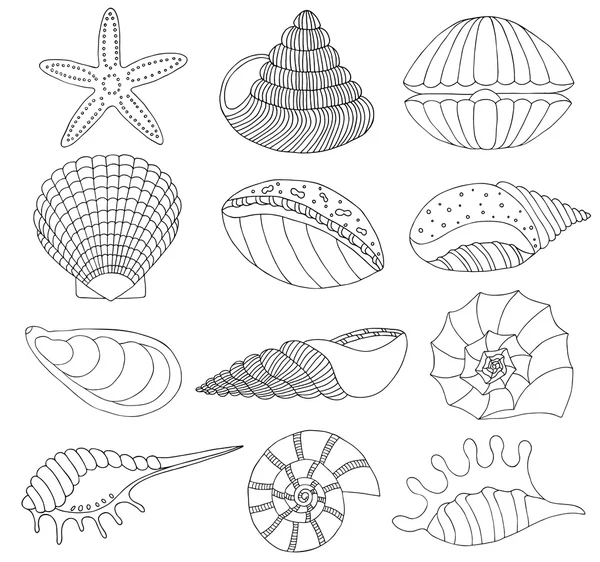 Set of seashells and starfish — Stock Vector © Zarian #88286098