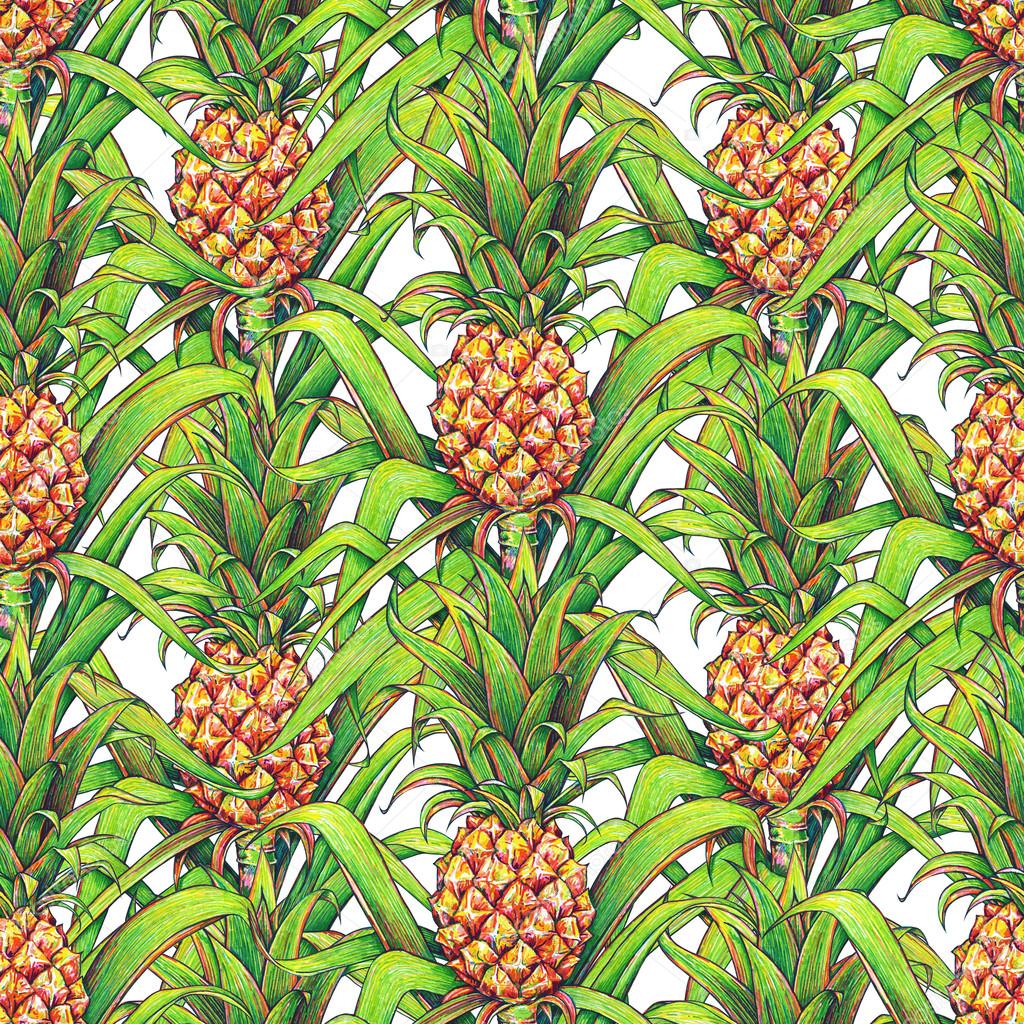 Pineapple Farm Wallpaper