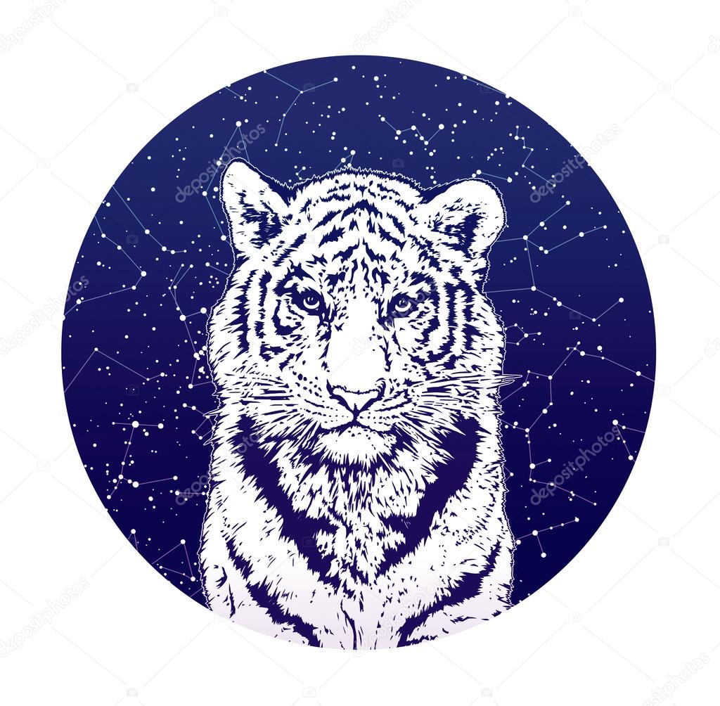Graphic drawing of a tiger and star sky. Stock Illustration by ...