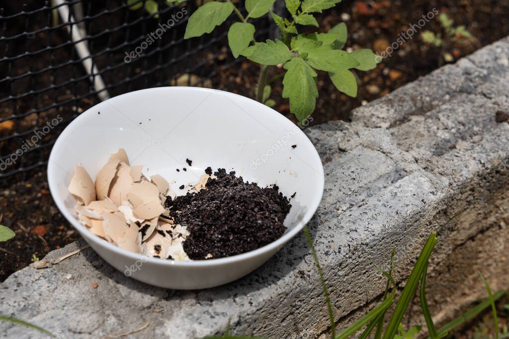 Cáscara de huevo triturado y café molido gastado en tazón contra las ...