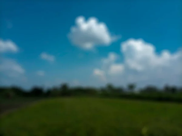 Carta de tu Stockfotos, lizenzfreie Carta de tu Bilder | Depositphotos