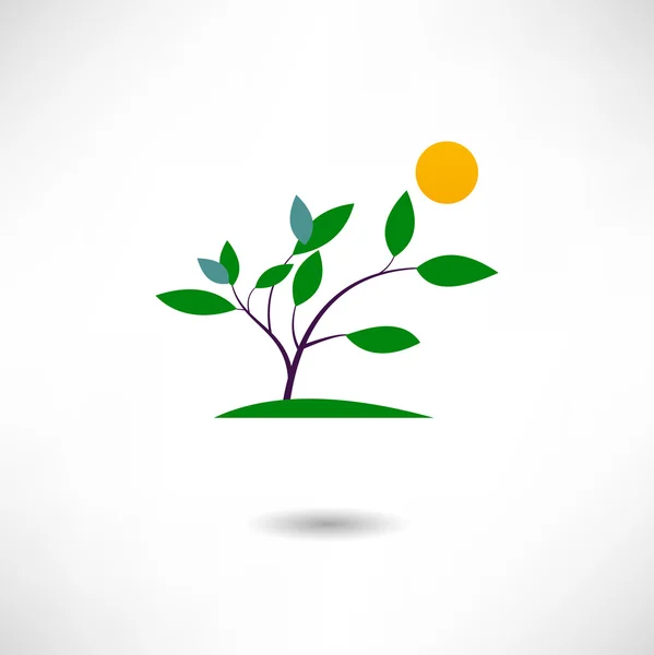 Sapling Vector Art Stock Images | Depositphotos