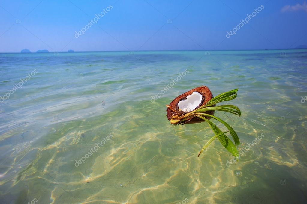 Coconut floating in the ocean. — Stock Photo © DarAnna #64689191