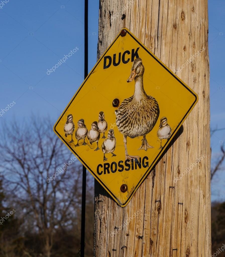 Duck Crossing Road Sign