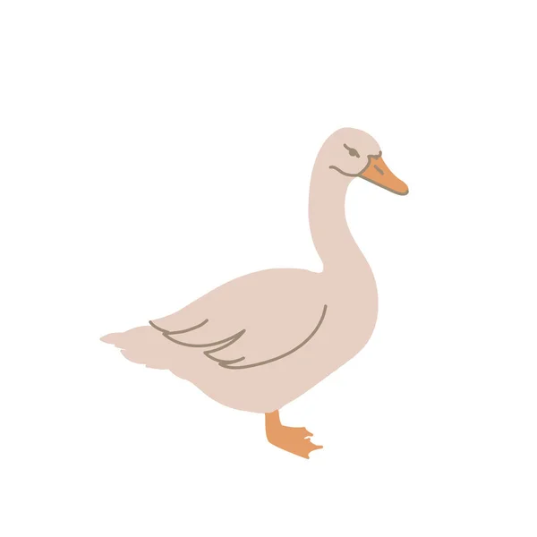 Liba rajz Stock fotók, Liba rajz Jogdíjmentes képek | Depositphotos