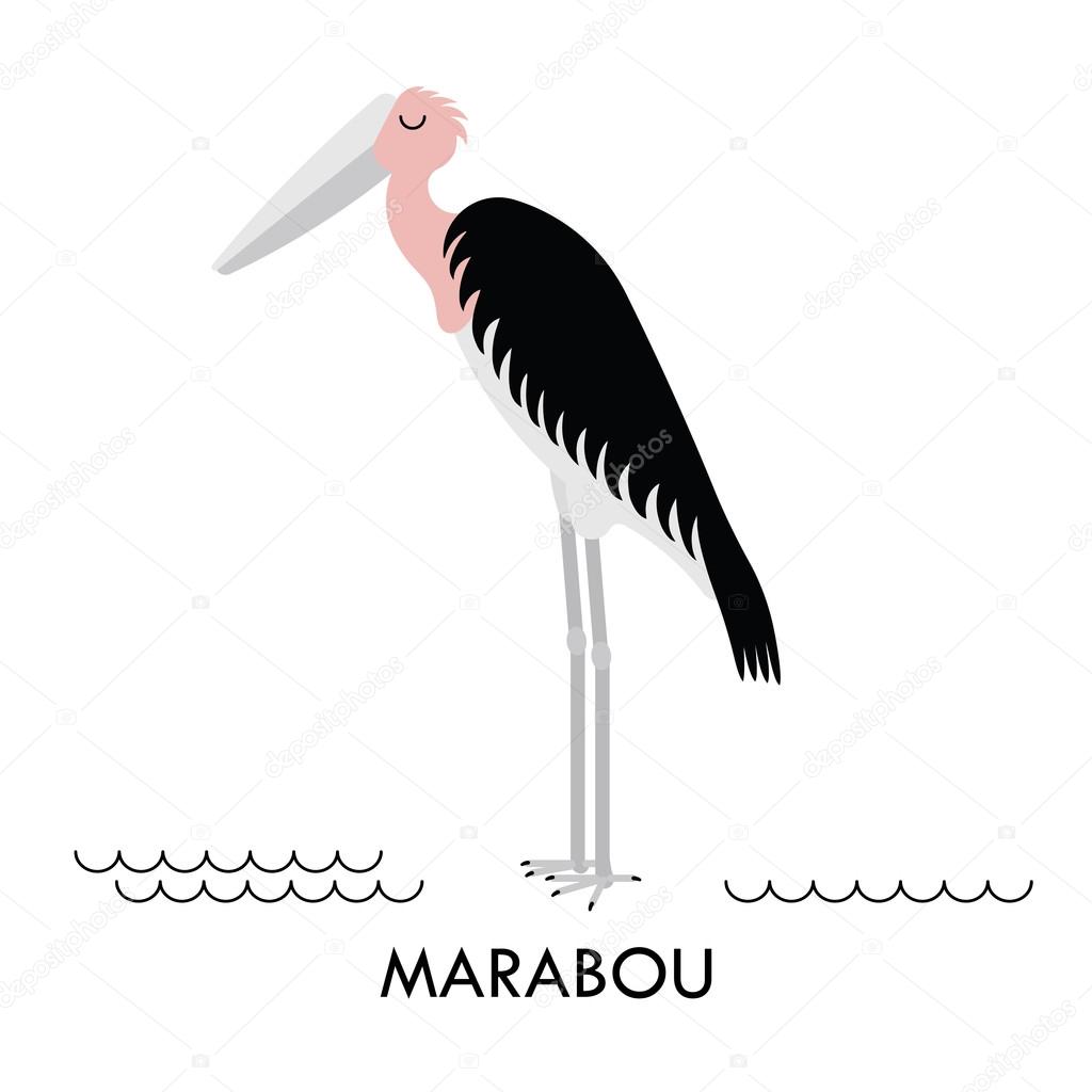 Aves africanas de Marab 1 2024