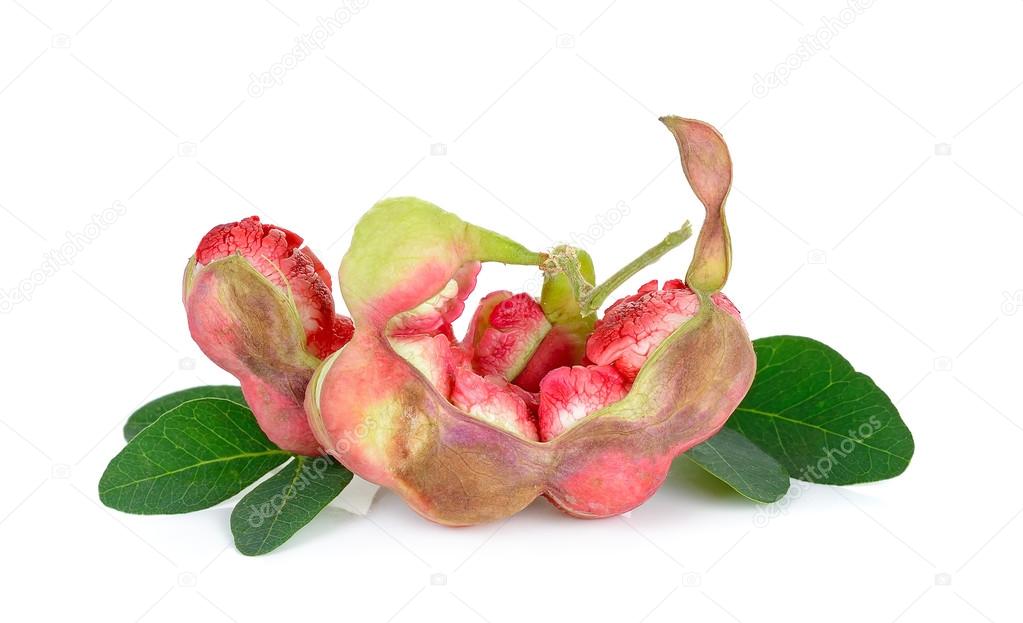 Manila tamarind fruit isolated on white Stock Photo by ©khumthongonline ...