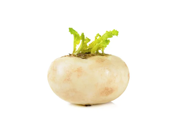 Mini white turnip isolated on white background Stock Photo by ...