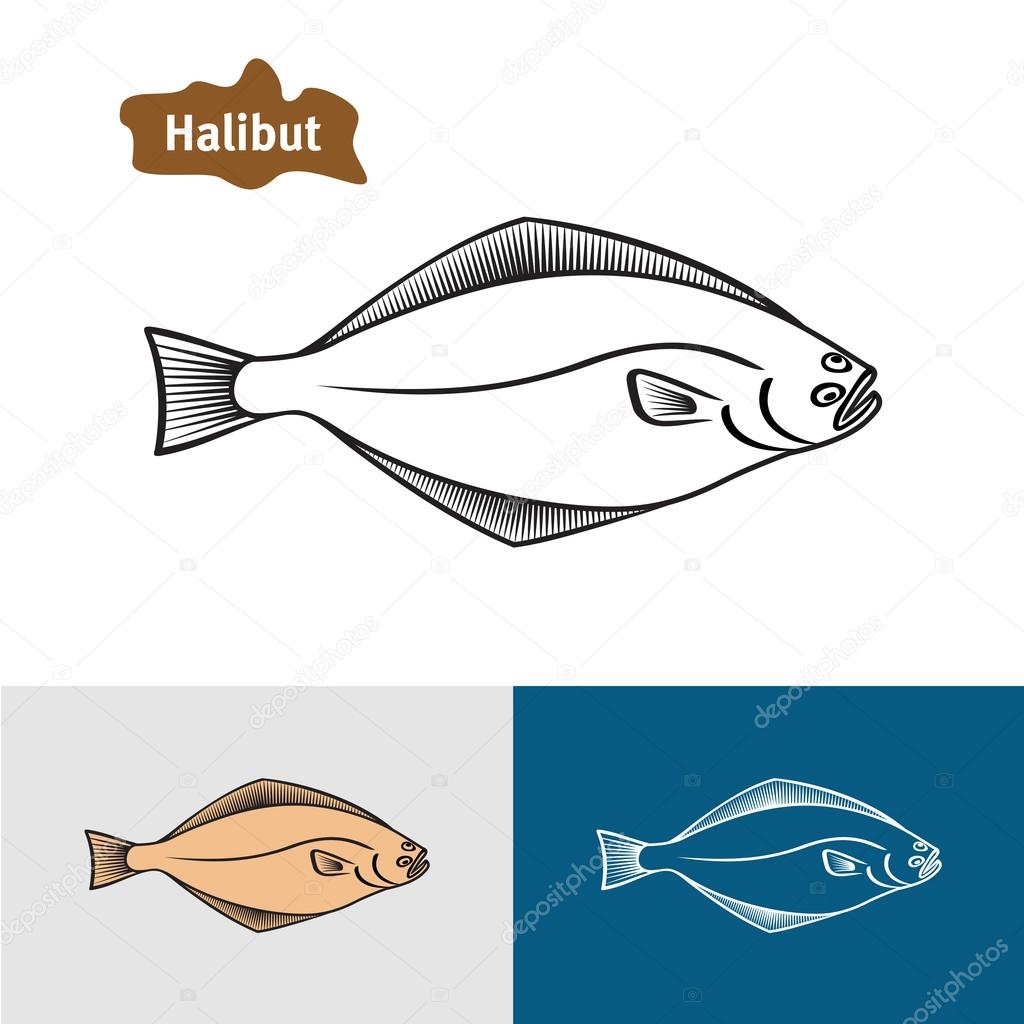 Halibut fish sumple Stock Vector Image by ©Kilroy #79936036