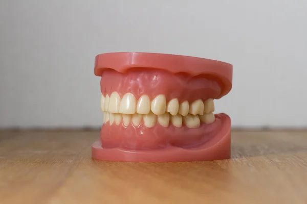 Set of artificial false teeth Stock Photo by ©digender 76391745