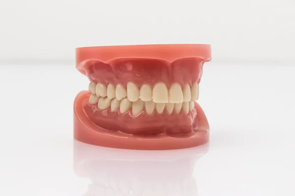 Set of artificial false teeth Stock Photo by ©digender 76391745