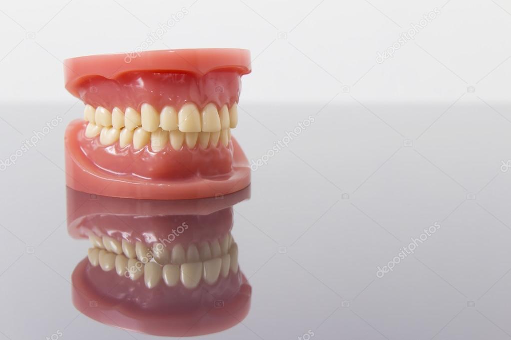 Set of artificial false teeth Stock Photo by ©digender 76391745